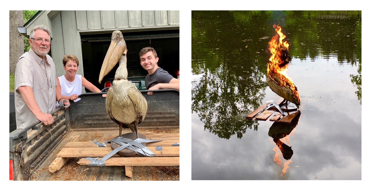 The Pelican – Live Life Exuberantly