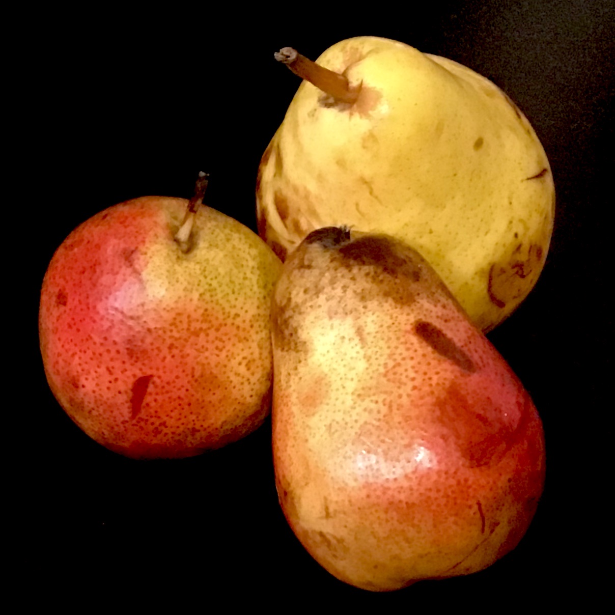 Perfectly Imperfect – Live Life Exuberantly